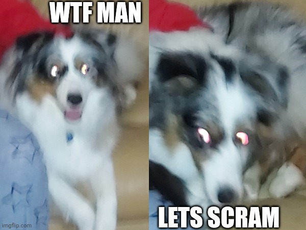 Pippin be trippin - Imgflip