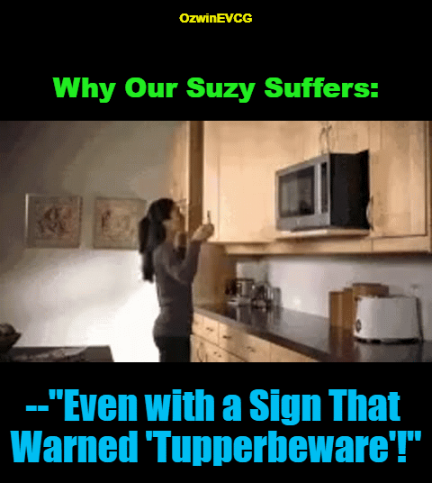 Why Our Suzy Suffers - Imgflip