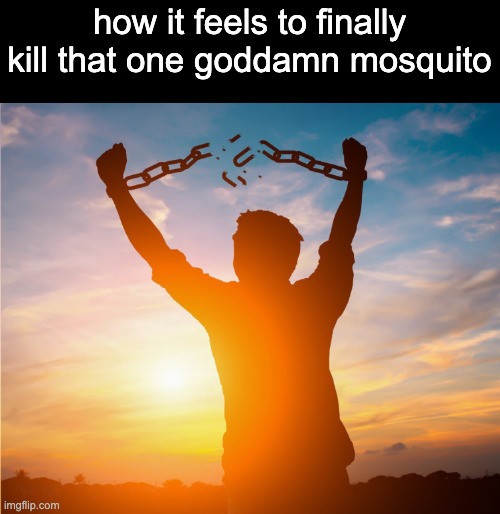 I CAN FINALLY KILL MYSELF - Imgflip