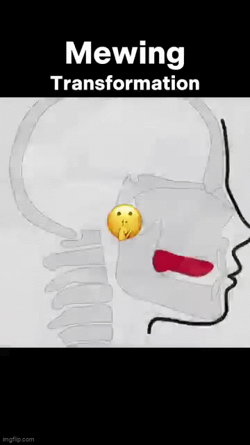 Moai Mewing Transformation - Imgflip