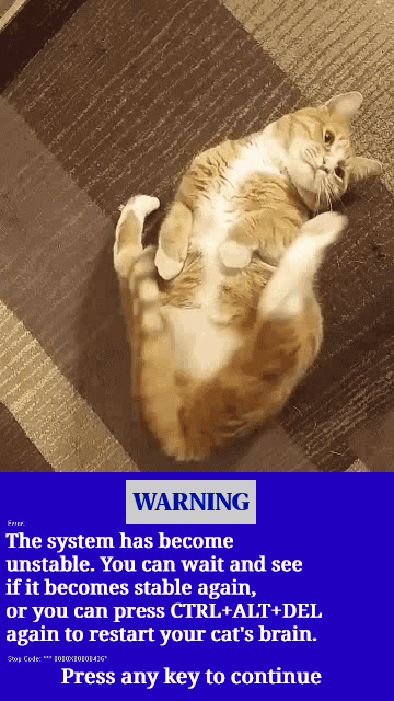 CatBrain - Imgflip