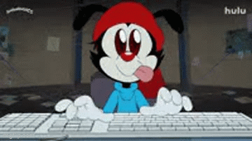 wakko typing - Imgflip