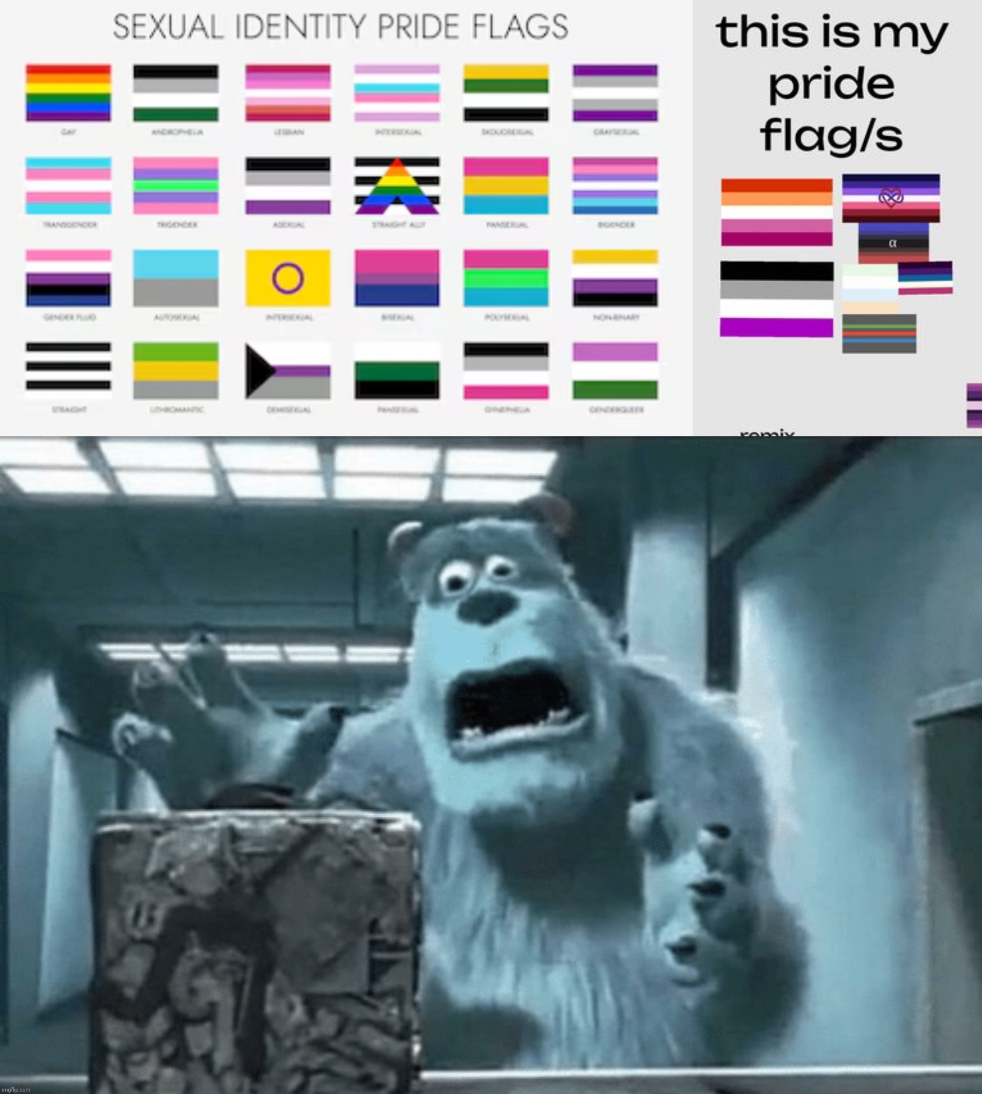 WHAT EVEN ARE HALF OF THESE - Imgflip