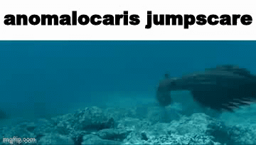 anomalocaris jumpscare - Imgflip