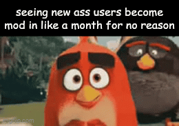 how do y'all get mod so fast?? - Imgflip