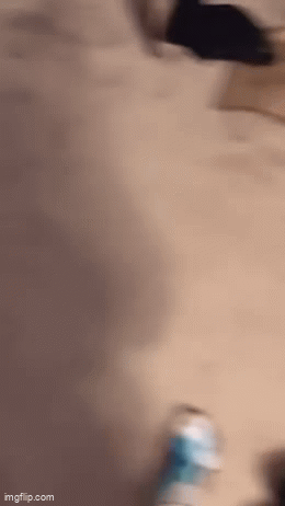 SPONGEBOB NOOO - Imgflip