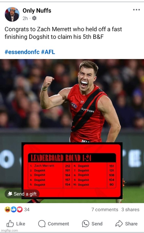 Certified Legendary Thread - Days since Essendon last won a final: Now into 2025! 🍩 | Page 51 ...