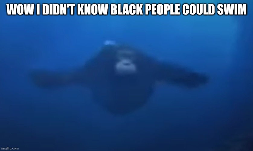 Monkey Swim Swim - Imgflip