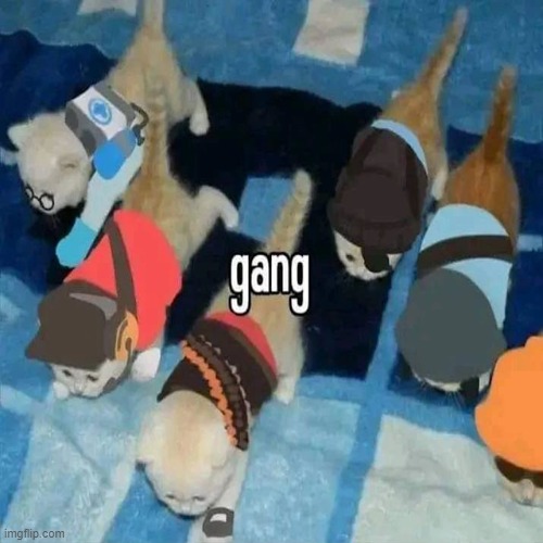 who's your gang? - Imgflip