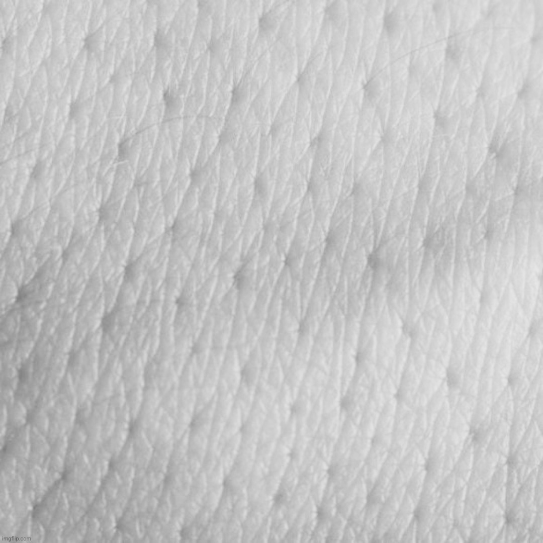 Obserbenh how bean skibn is bdh - Imgflip