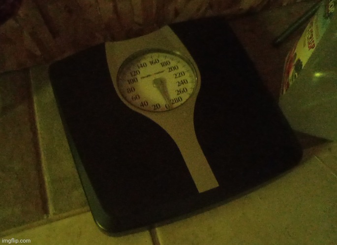 Got the scale from Big Lots during their closing sale - Imgflip