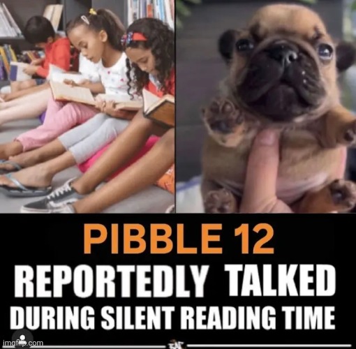 life in prison without parole - Imgflip