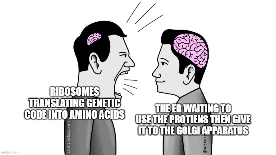 small brain yelling at big brain - Imgflip