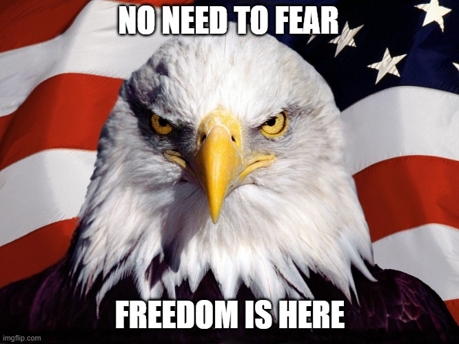 Freedom Eagle - Imgflip