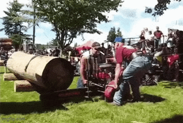 Animated GIF - Imgflip