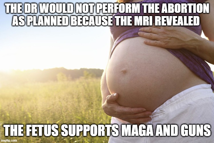 Pregnant Woman - Imgflip