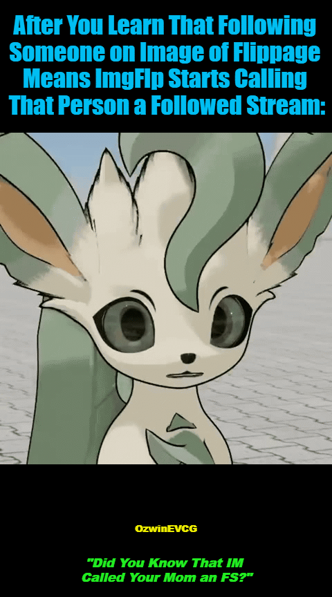 "Did You Know That IM Called Your Mom an FS?" - Imgflip