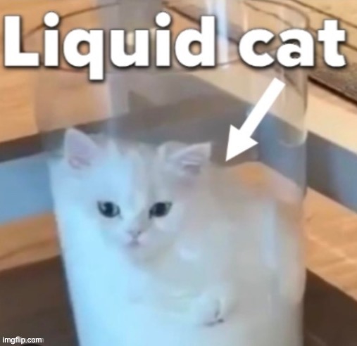 WoOoOoOoOoOo - Imgflip