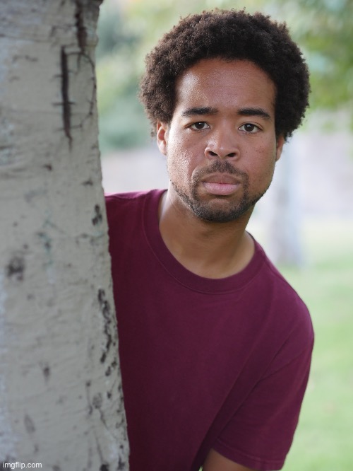 Judgmental Man Behind Tree - Imgflip