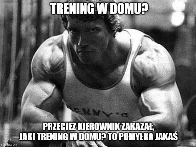 Arnold Schwarzenegger - Imgflip