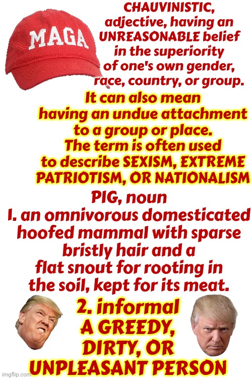 Trump And Maga By Definition Are Chauvinistic Pigs Imgflip Trump And Maga By Definition Are Chauvinistic Pigs Imgflip