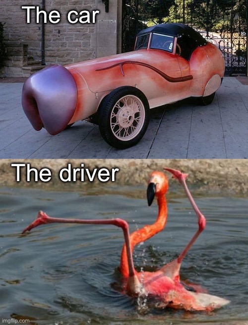 Car and driver - Imgflip