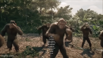 Dancing monkeys - Imgflip