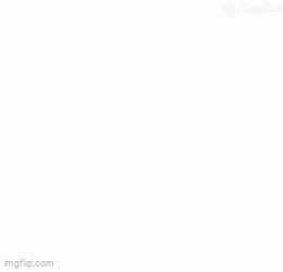 Animated GIF - Imgflip