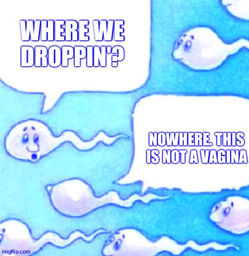 S A Y G E X - Imgflip