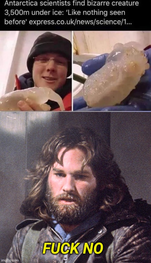 Image tagged in the thing 1982,the thing 1982 john carpenter - Imgflip
