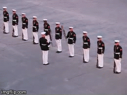 Animated GIF - Imgflip