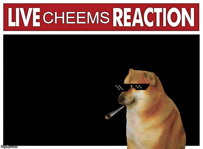 Live reaction - Imgflip