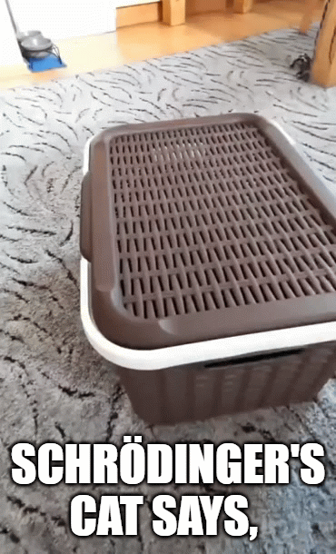 Quantum Cat Imgflip 6955