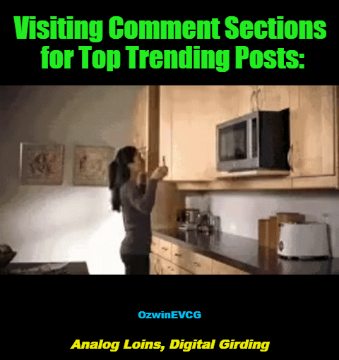 [NT] Analog Loins, Digital Girding [NT] - Imgflip