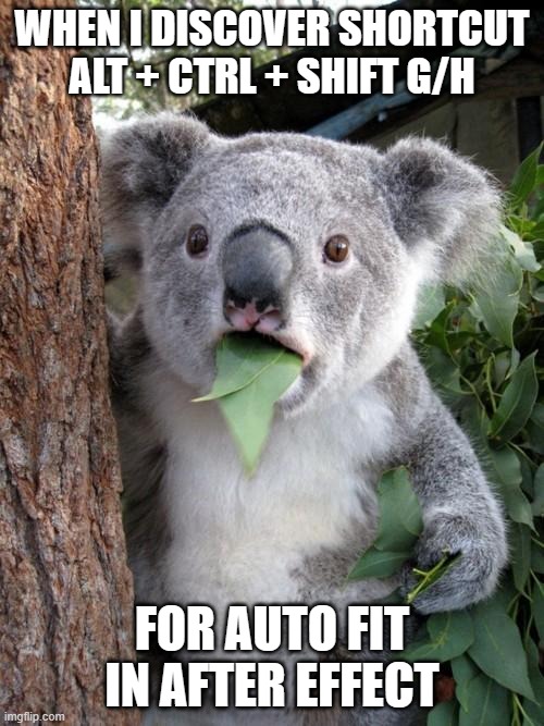 Surprised Koala Meme - Imgflip
