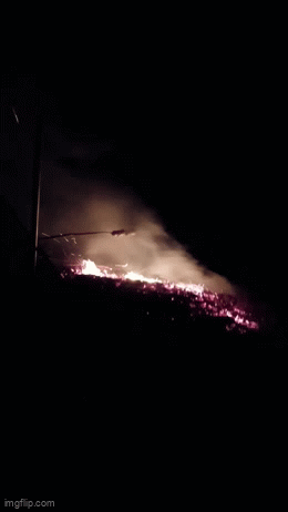 Animated GIF - Imgflip