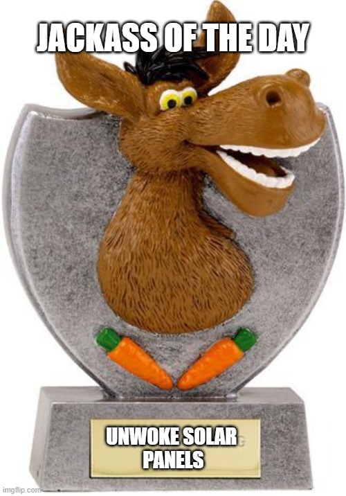 Jackass of the day - Imgflip