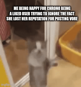 jumping kitten - Imgflip