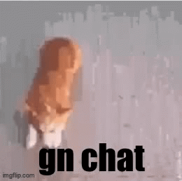 Gn chat - Imgflip