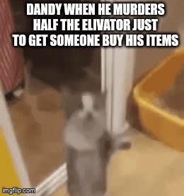 Dandy why - Imgflip
