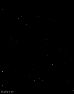 Animated GIF - Imgflip