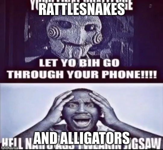 Baseball coach yelling at kid - Imgflip