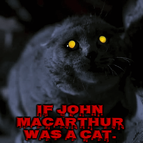 John MacArthur Cat - Imgflip