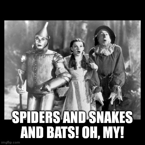 "Bats and Snakes in the Locker room and Showers" | HuskerMax Forums