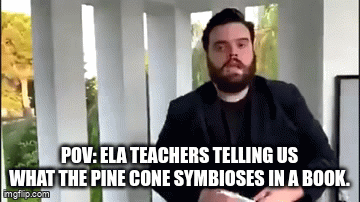 they be saying the most wild stuff - Imgflip