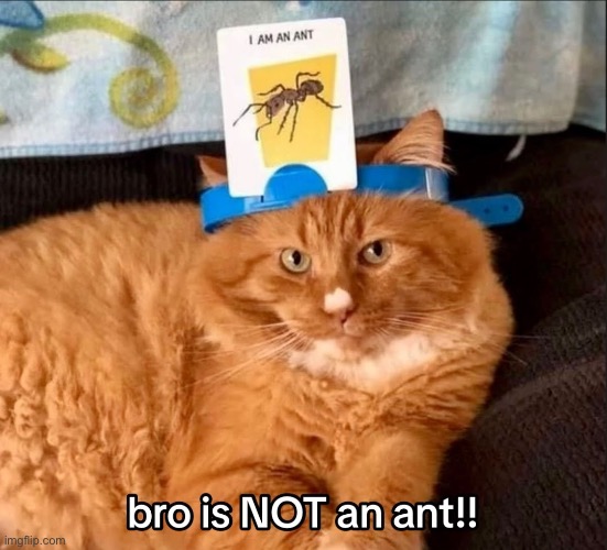 trans lore - Imgflip