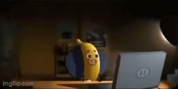 Animated GIF - Imgflip