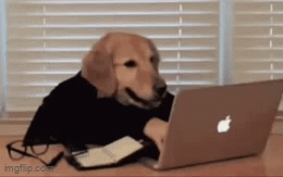 Smart Dog - Imgflip