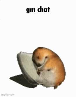 Gm chat - Imgflip