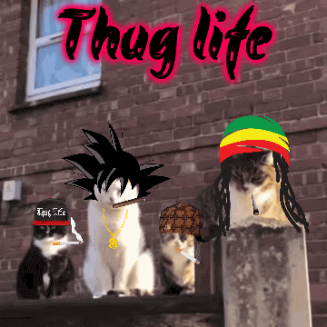 Thug Life - Imgflip